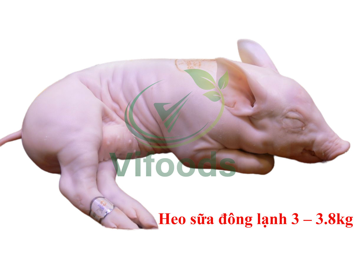 Heo sữa đông lạnh 3 – 3.8kg